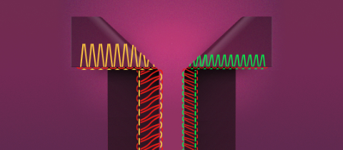 L 890 - The revolutionary Overlock/Coverstitch Combo - BERNINA