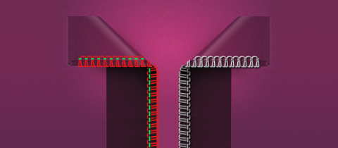 BERNINA L 460 – cut, sew and finish in a single step - BERNINA