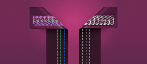 L 890 - The revolutionary Overlock/Coverstitch Combo - BERNINA